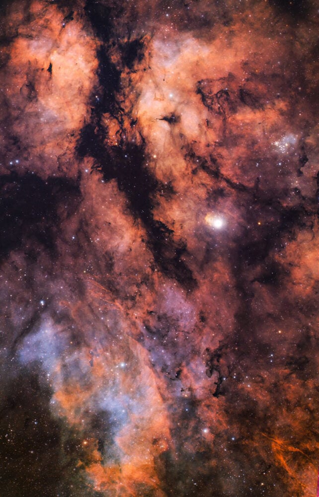 The Sadr Region in Cygnus including IC 1318 (Butterfly Nebula)
