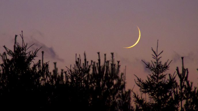 How to Take Pictures of The Moon | 18 Examples & Photography Tips