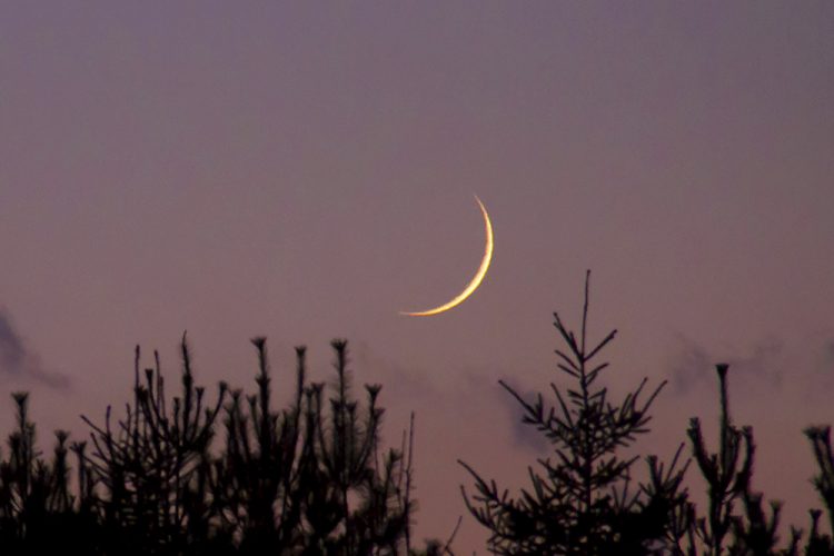 Moon Photography | Inspiration, Camera Settings, and Techniques