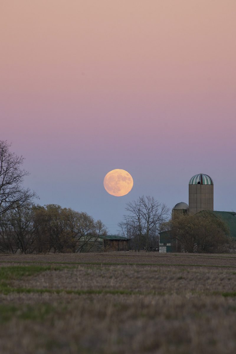 Moon Photography | Inspiration, Camera Settings, and Techniques