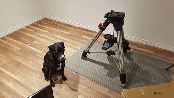 The Mighty Celestron CGX-L Telescope Mount | AstroBackyard