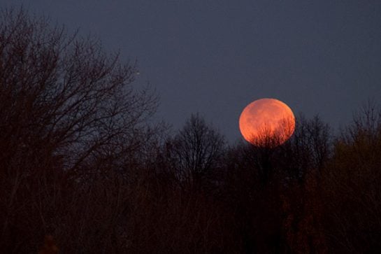 How to Take Pictures of The Moon | 18 Examples & Photography Tips