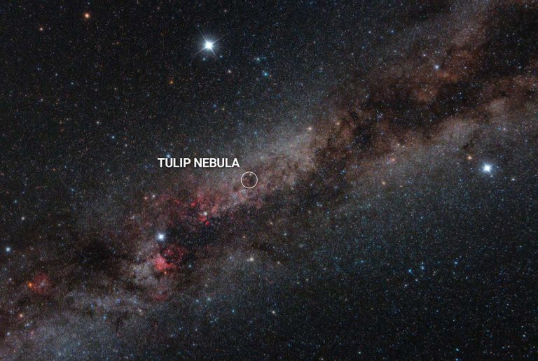 The Tulip Nebula in Cygnus | Don't Miss this Beautiful Emission Nebula