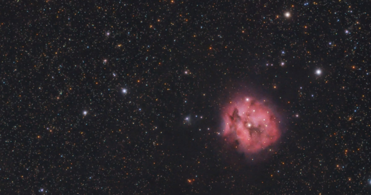 The Cocoon Nebula in Cygnus | Astrophotography, Facts, and More