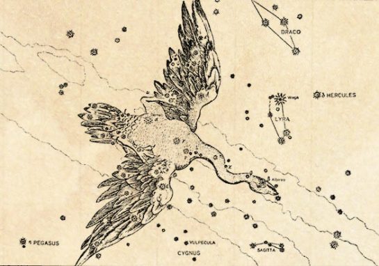 The Constellation Cygnus | Facts, Location, Photos and Mythology