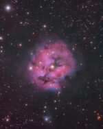 The Cocoon Nebula in Cygnus | Astrophotography, Facts, and More