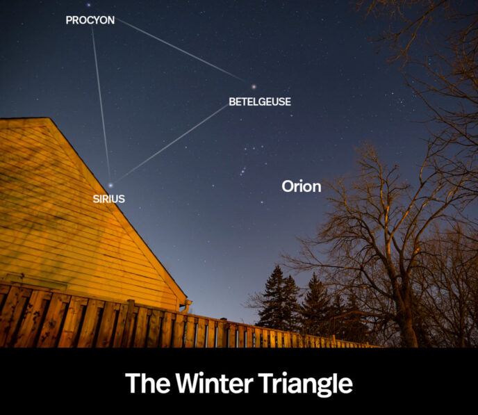 The Winter Triangle