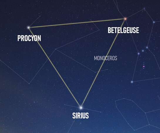 The Winter Triangle