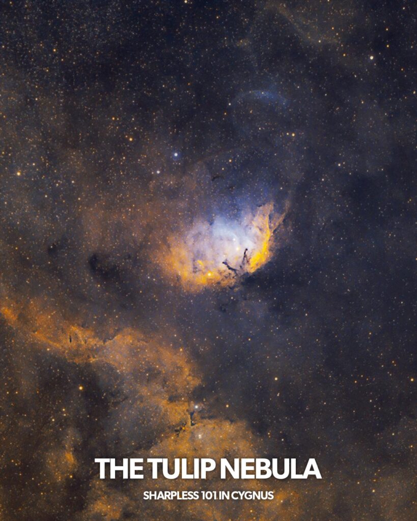 The Tulip Nebula in Cygnus | Don't Miss this Beautiful Emission Nebula