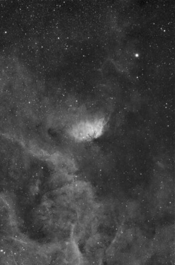 The Tulip Nebula in Cygnus | Don't Miss this Beautiful Emission Nebula