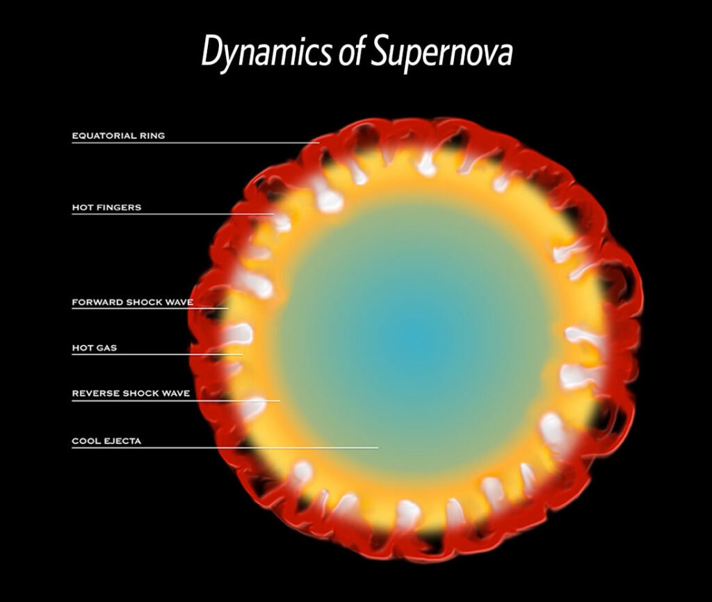 What Is a Supernova? Definition, Types, and Famous Examples