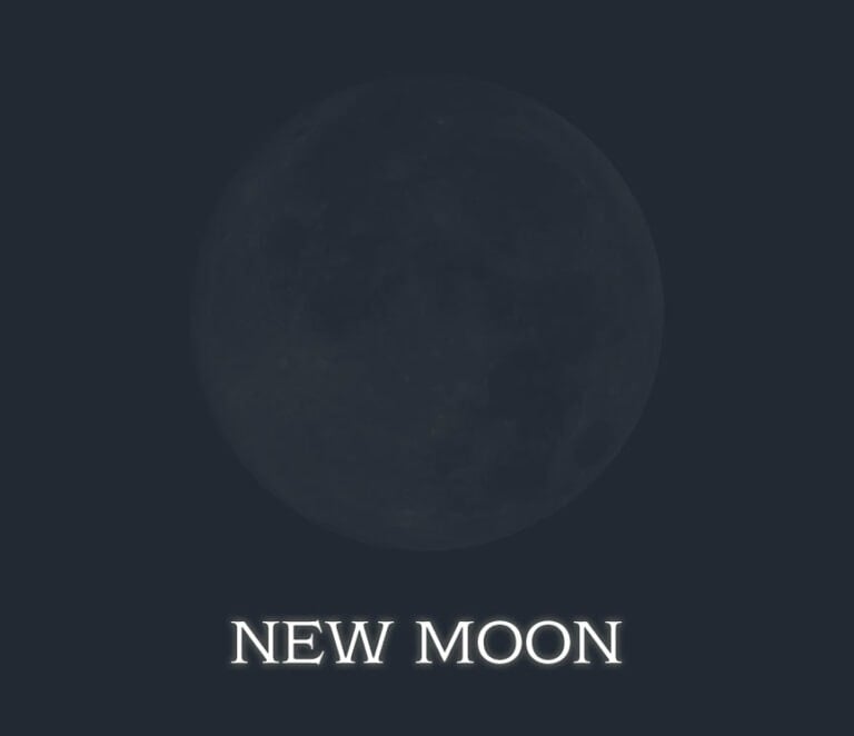 Understanding Moon Phases: The 8 Stages | The 8 Phases of the Moon in Order