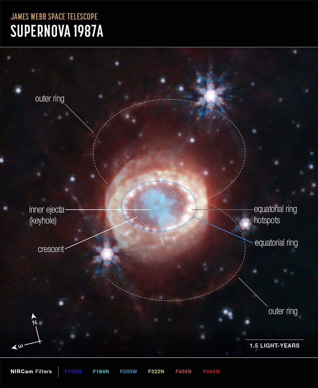 What Is a Supernova? Definition, Types, and Famous Examples