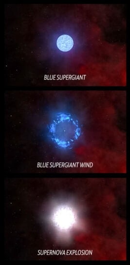 What Is a Supernova? Definition, Types, and Famous Examples