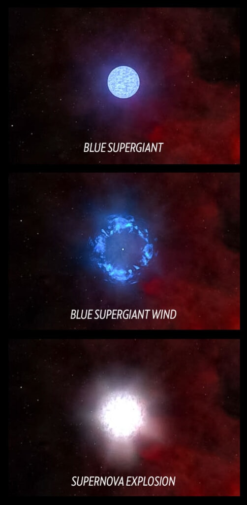 What Is a Supernova? Definition, Types, and Famous Examples