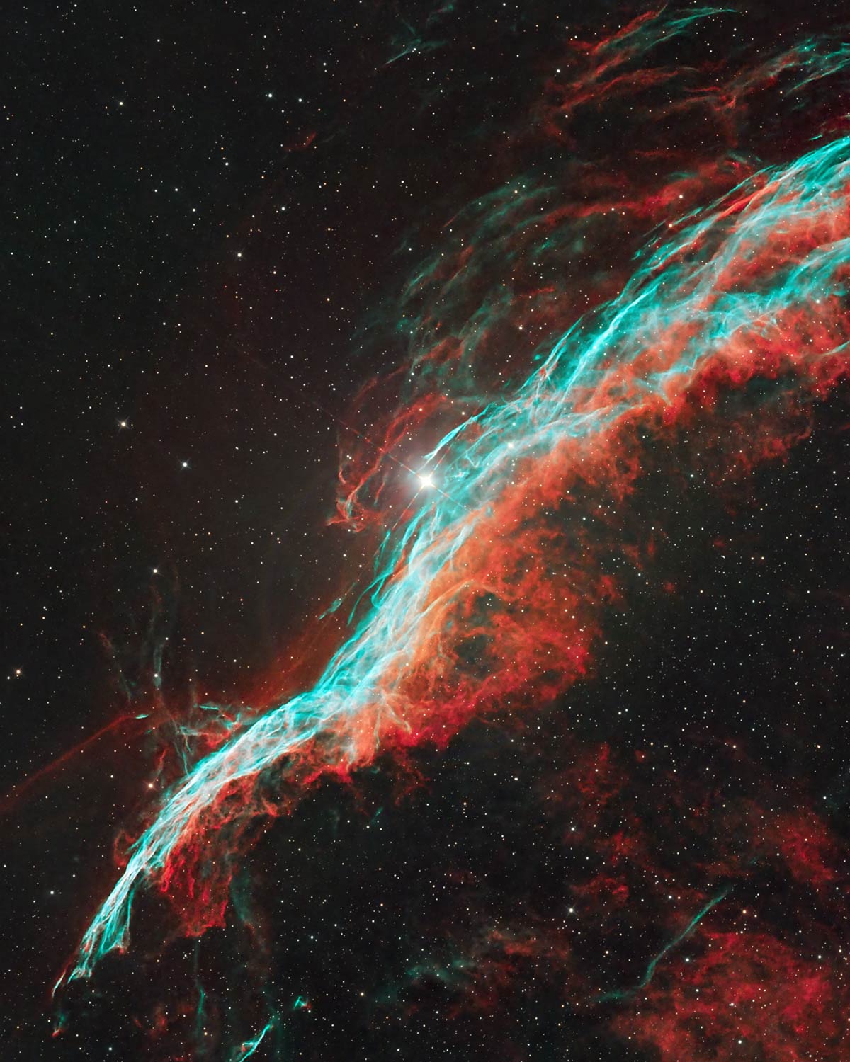 What Is a Supernova? Definition, Types, and Famous Examples